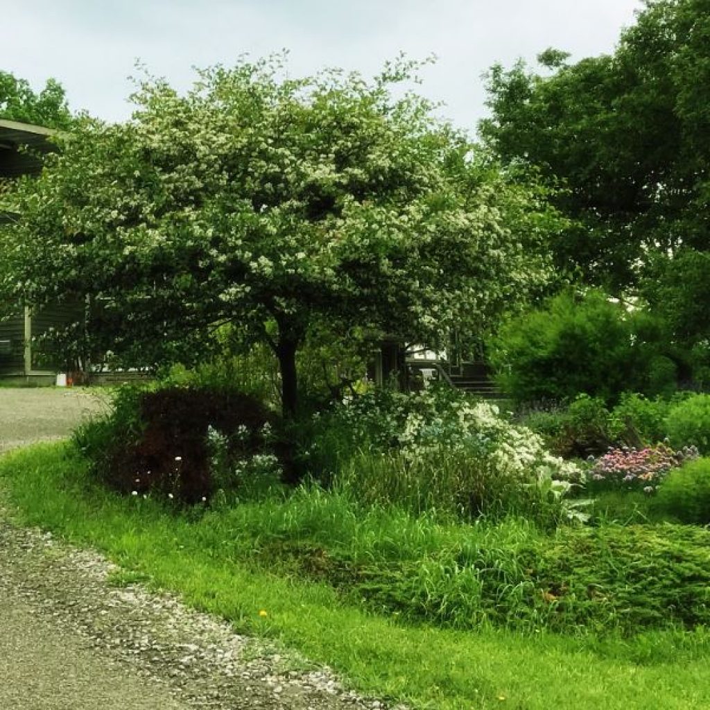 Events from April 12, 2019 – December 4, 2021 – Springwater Center