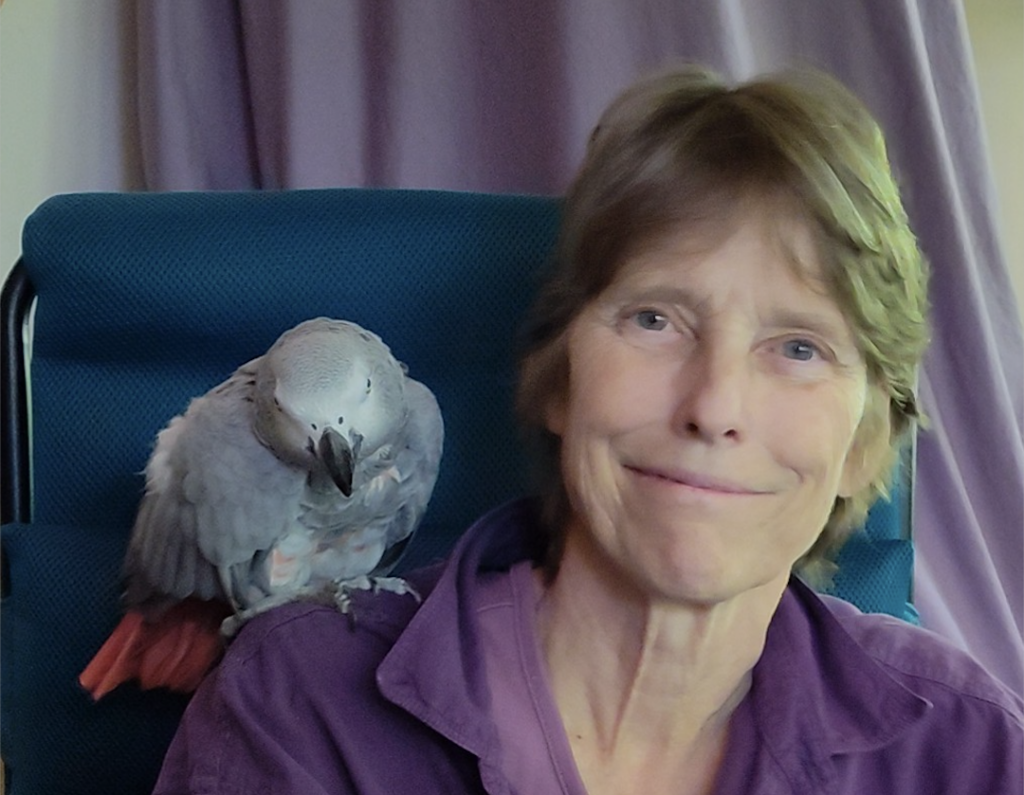 4-Day Retreat with Liz Heron (in-person and online) - Springwater Center